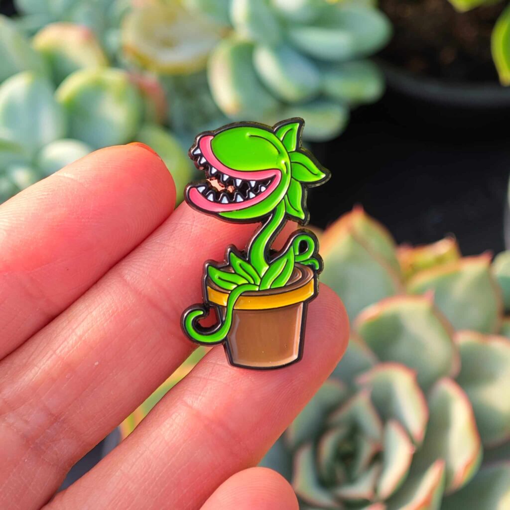 PINS, Planta Carnívora – Fonte das Suculentas
